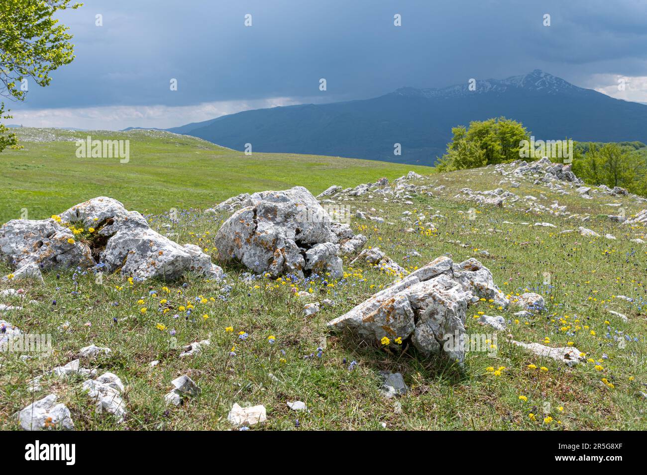 Rocky landscape and grassland habitat in the Apennine Mountains in ...