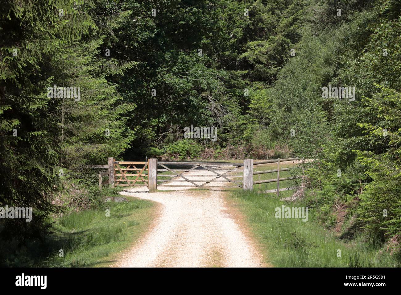 New wooden gates forest hi-res stock photography and images - Alamy