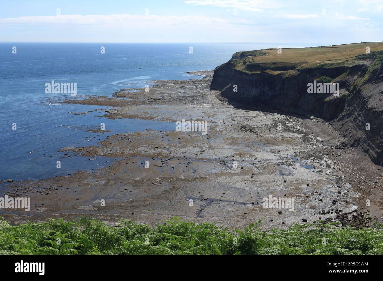 View of the cliffs and the sea from the coastal path between Whitby and ...