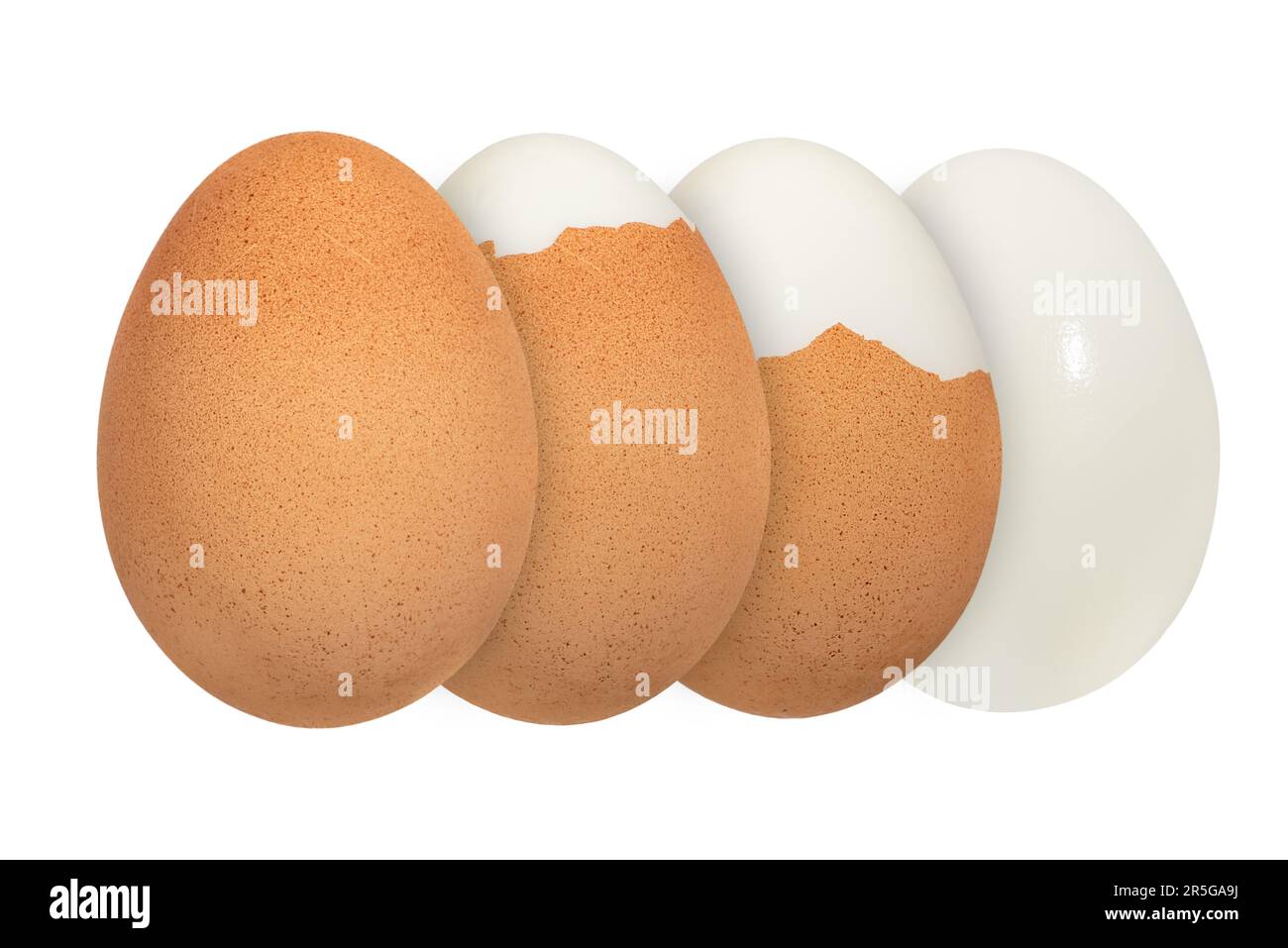 Boiled chicken eggs, with different levels of shelling on a white ...