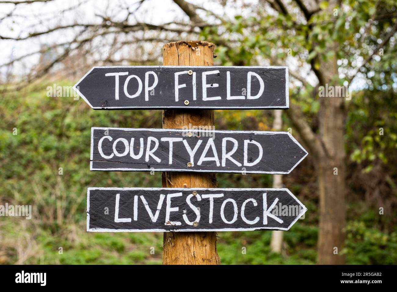 London, UK - November 23 2020: A rustic looking sign post in a city ...
