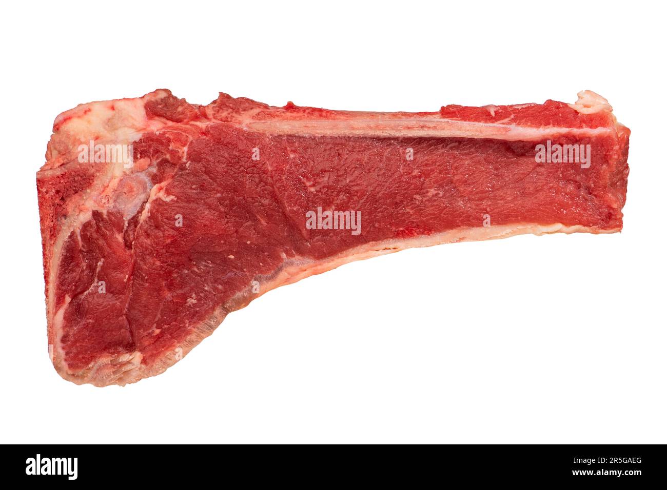 Beef meat with bone. Big piece of beef with bone isolated on white ...