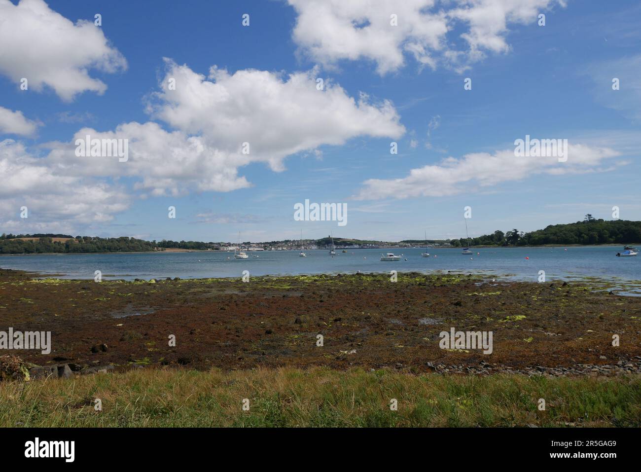 Portaferry castle hi-res stock photography and images - Alamy