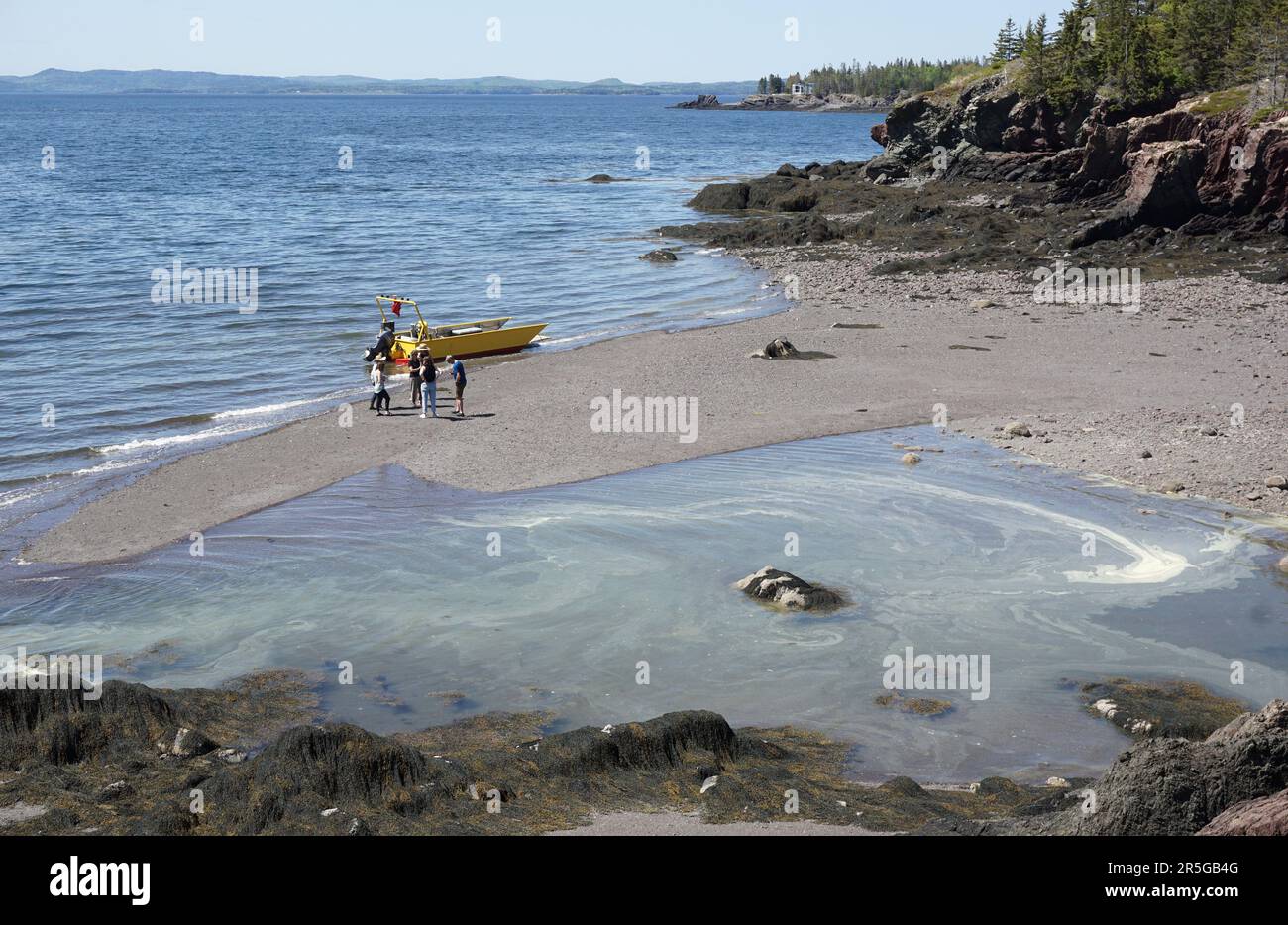 A beach on the Bay of Fundy Stock Photo - Alamy