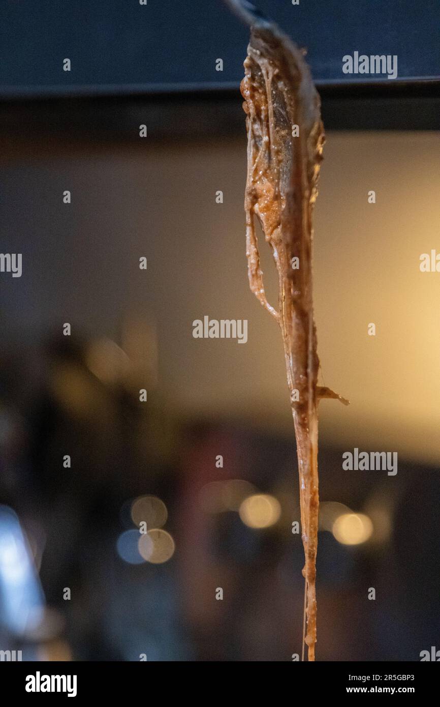 Fork stringy cheese hi-res stock photography and images - Alamy