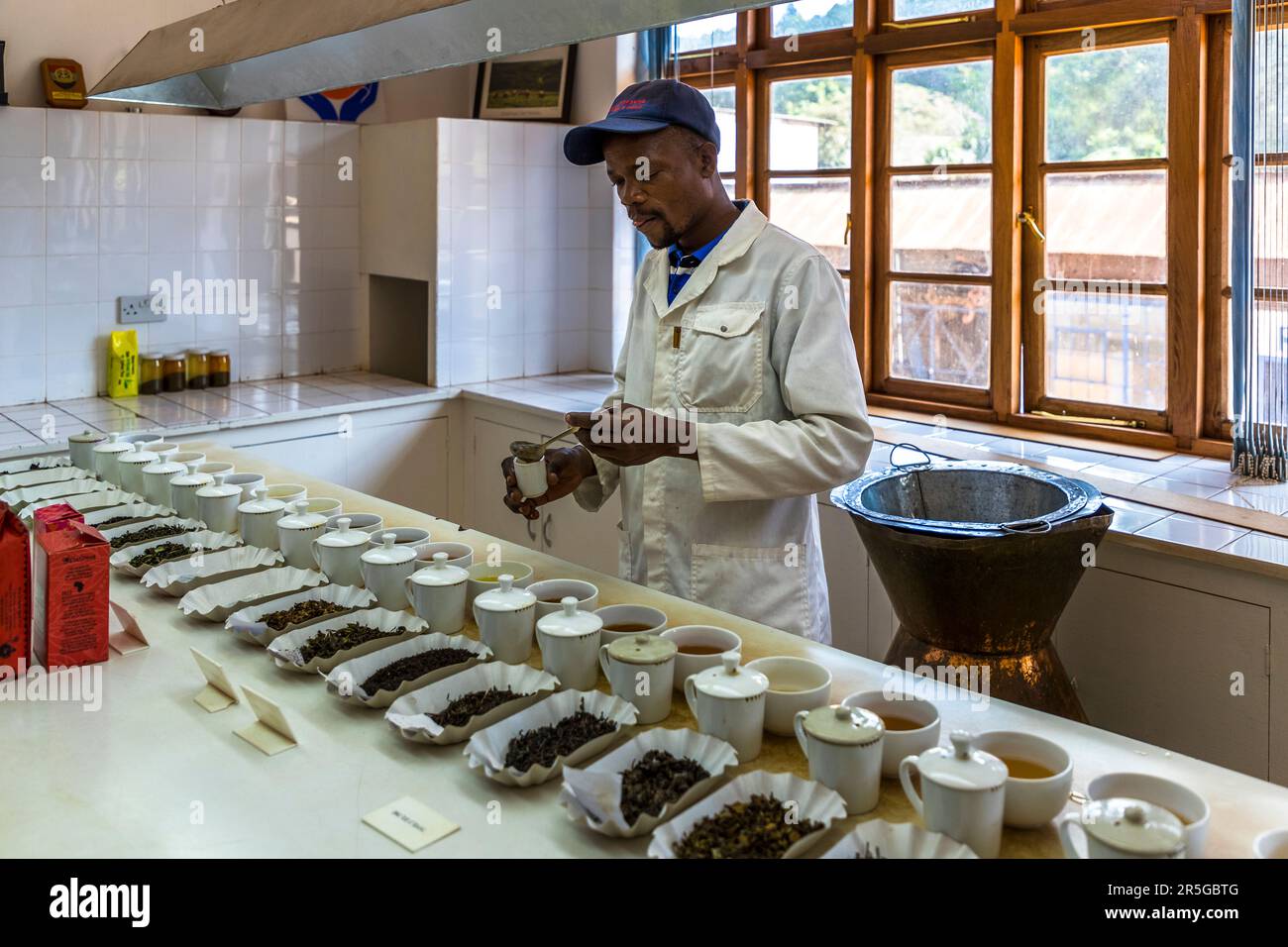 Production manager Chisomo Custom tests the freshly produced teas from ...