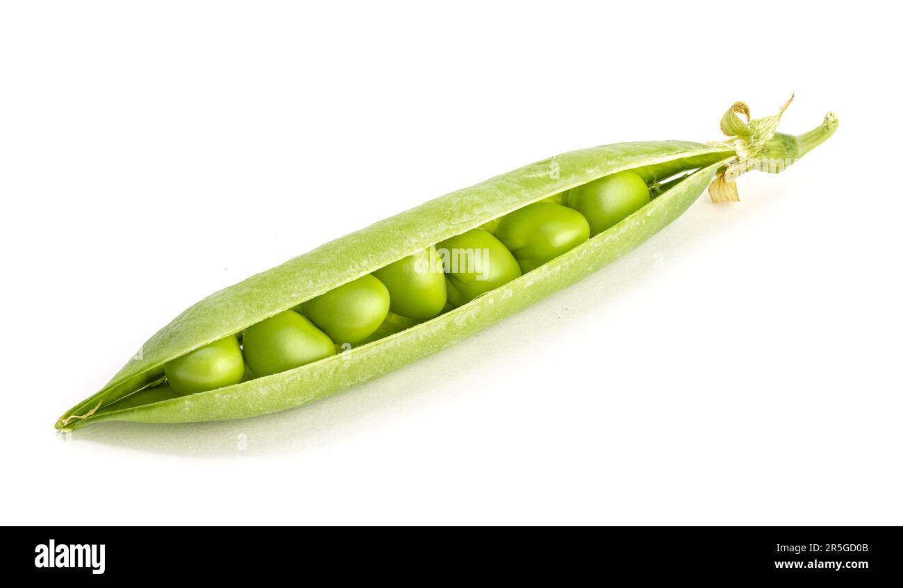 Fresh ripe green pea open pod with seeds isolated on white background ...
