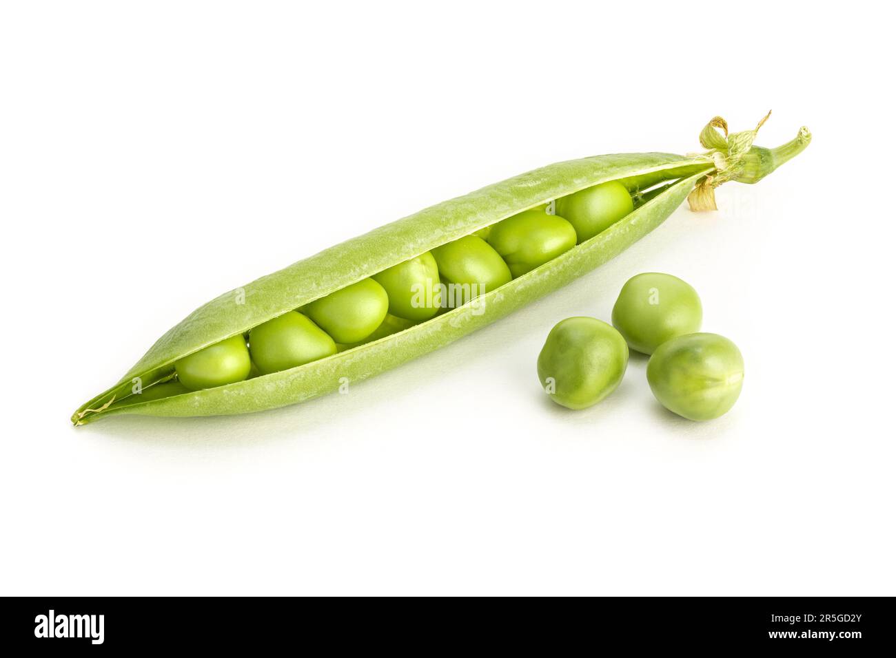 Single Pea Seed