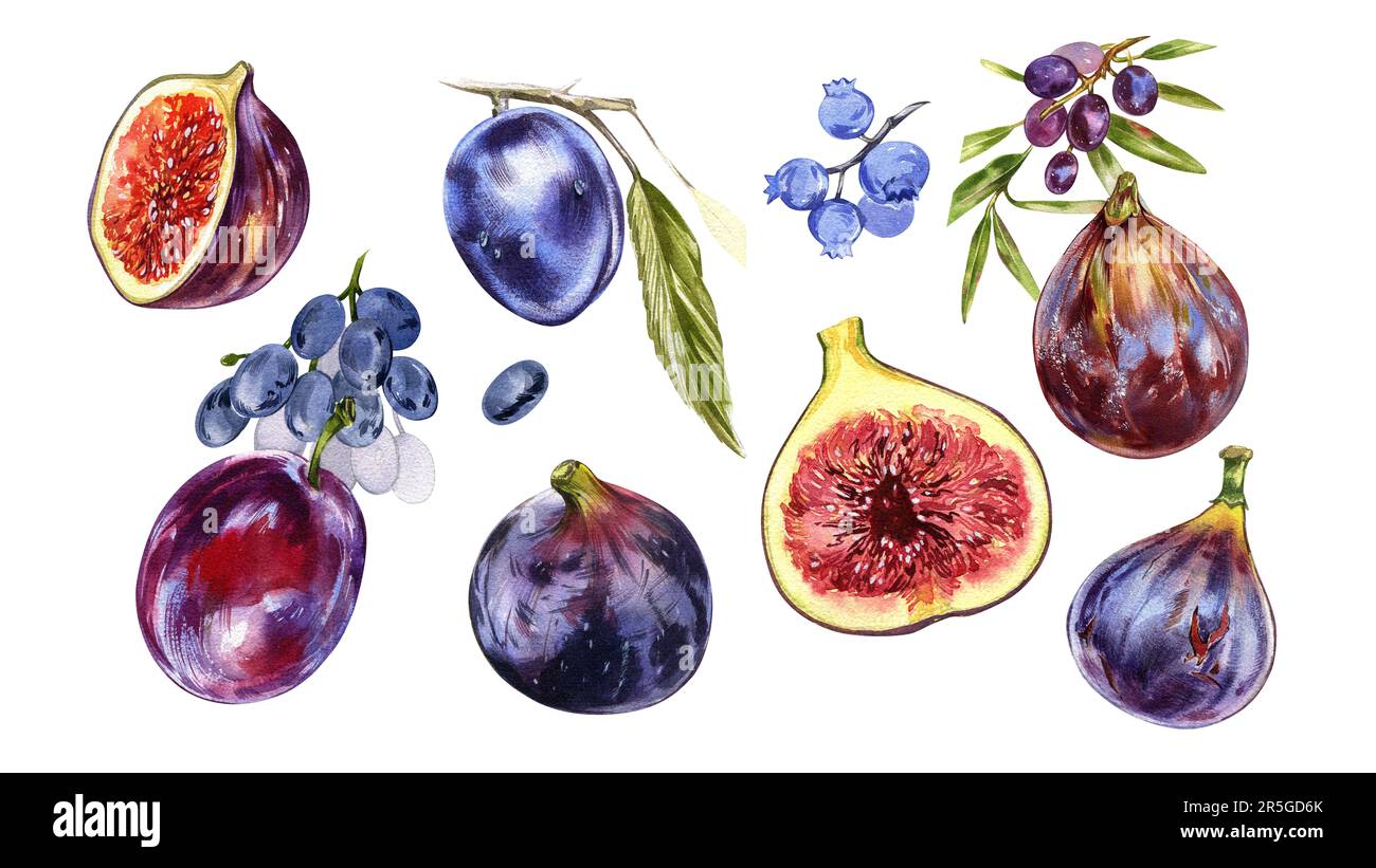 Set ripe fig fruit, slice, plum, blueberry, grape, olives isolated on ...
