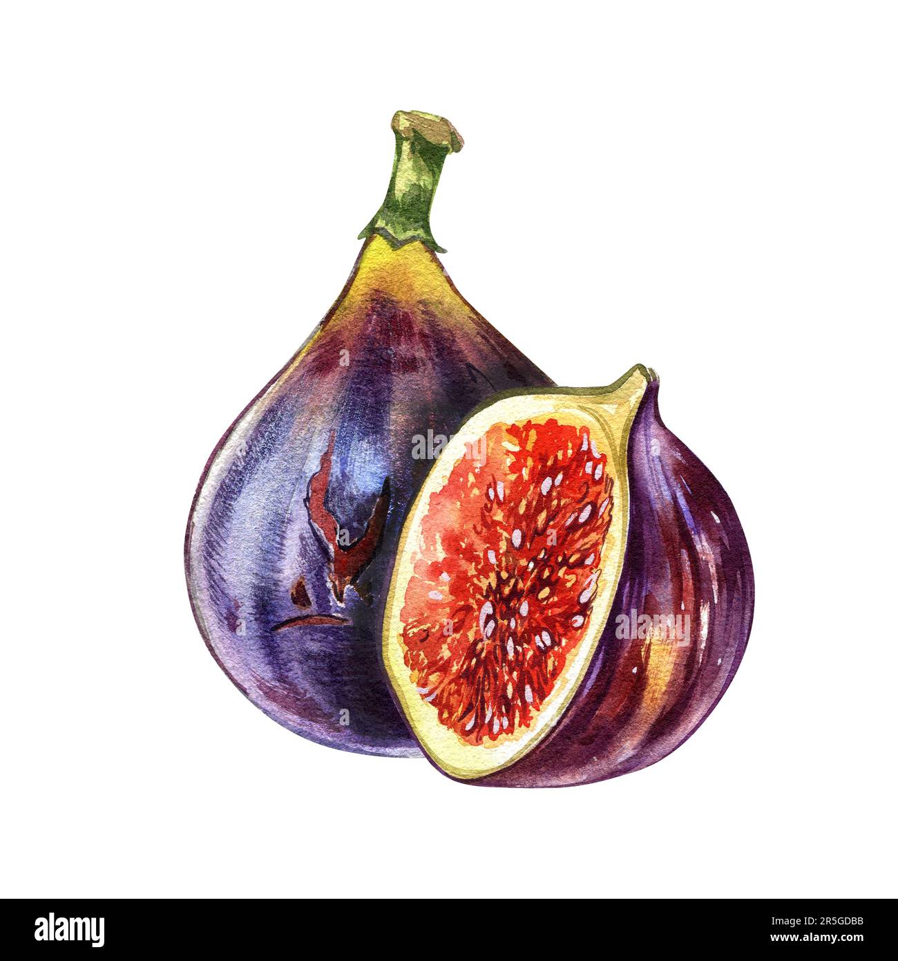 Fig Fruit Ripe