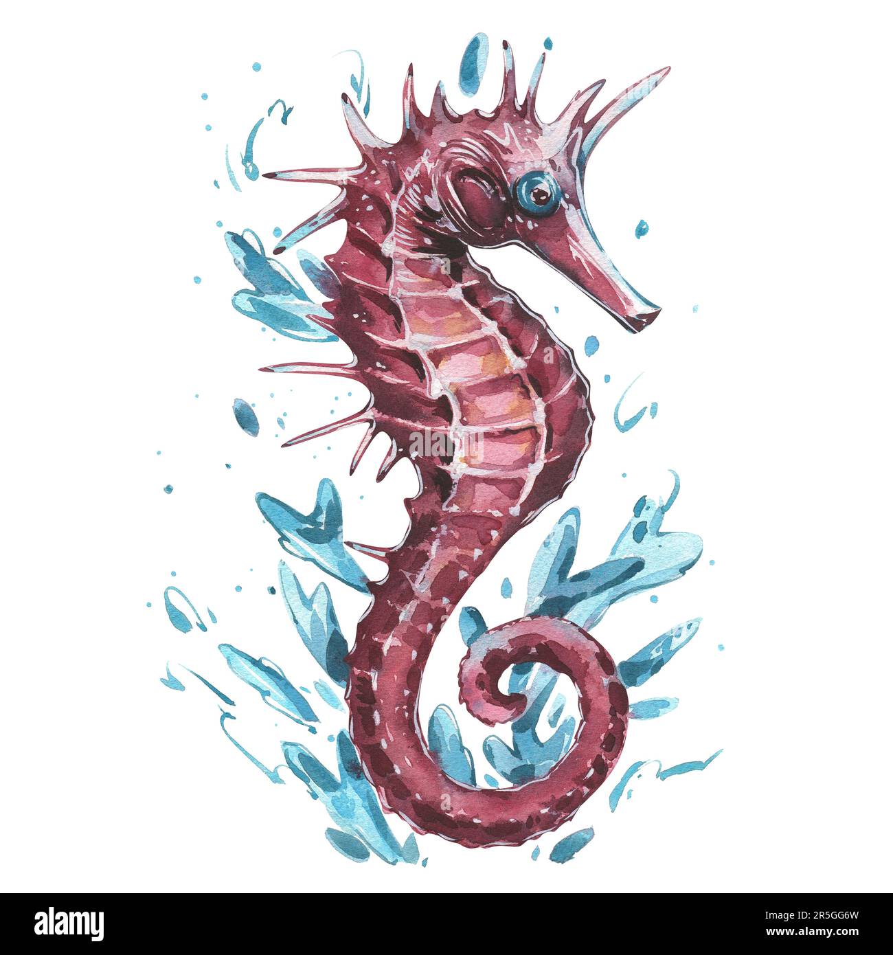 Seahorse Drawing Colorful