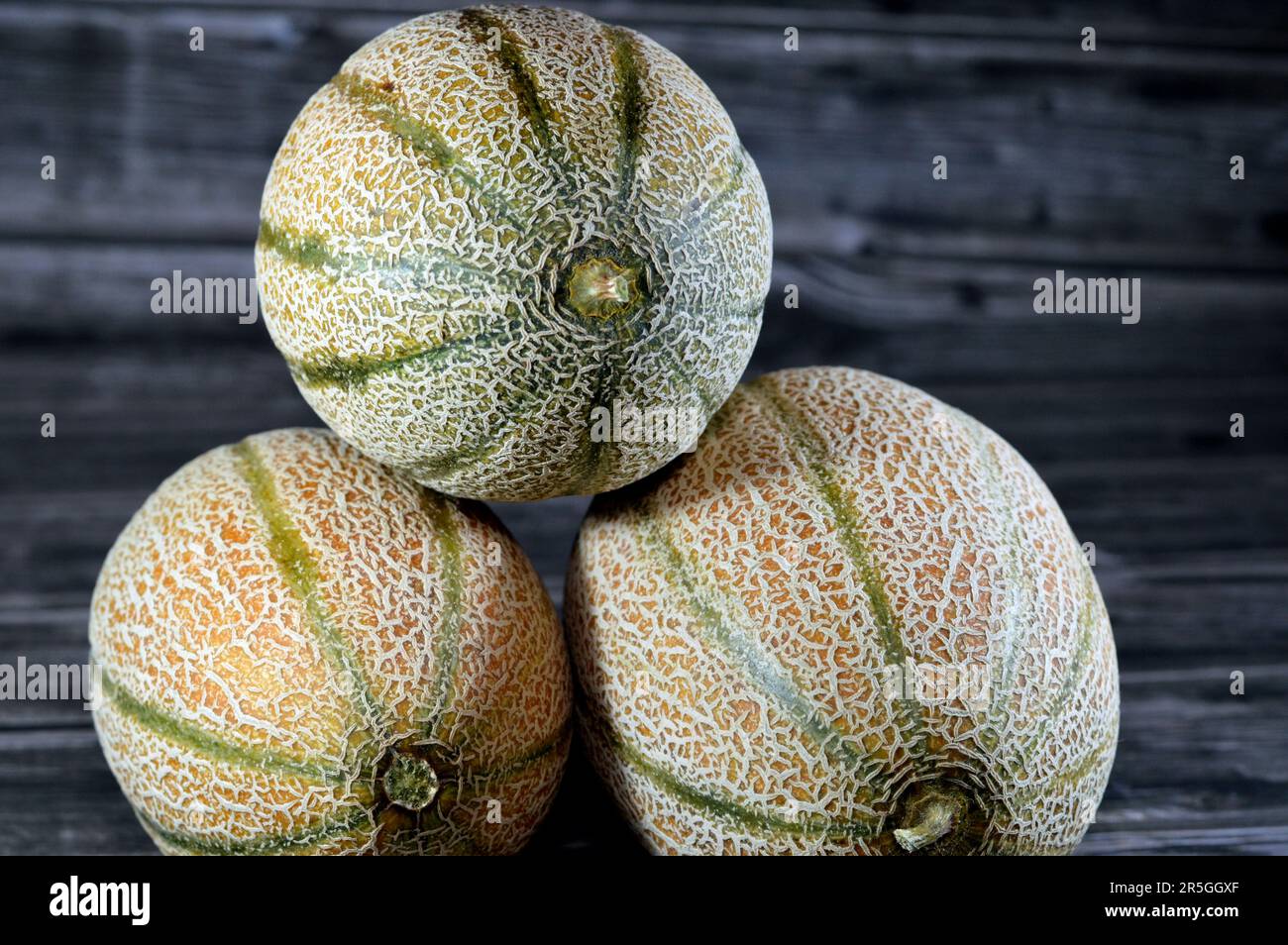 Muskmelon, Cucumis melo or melon, a species of Cucumis that has been ...