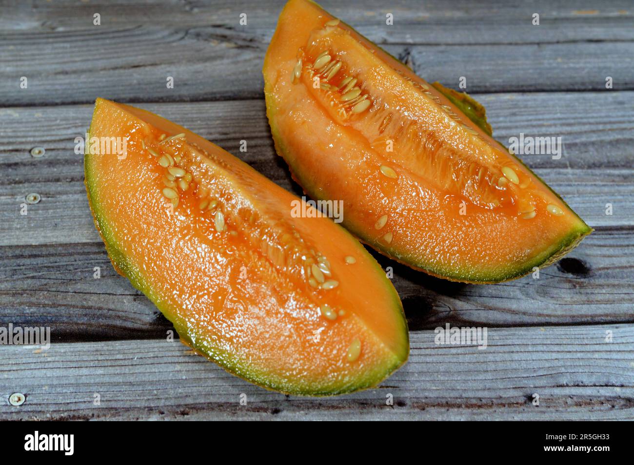 Muskmelon, Cucumis melo or melon, a species of Cucumis that has been ...