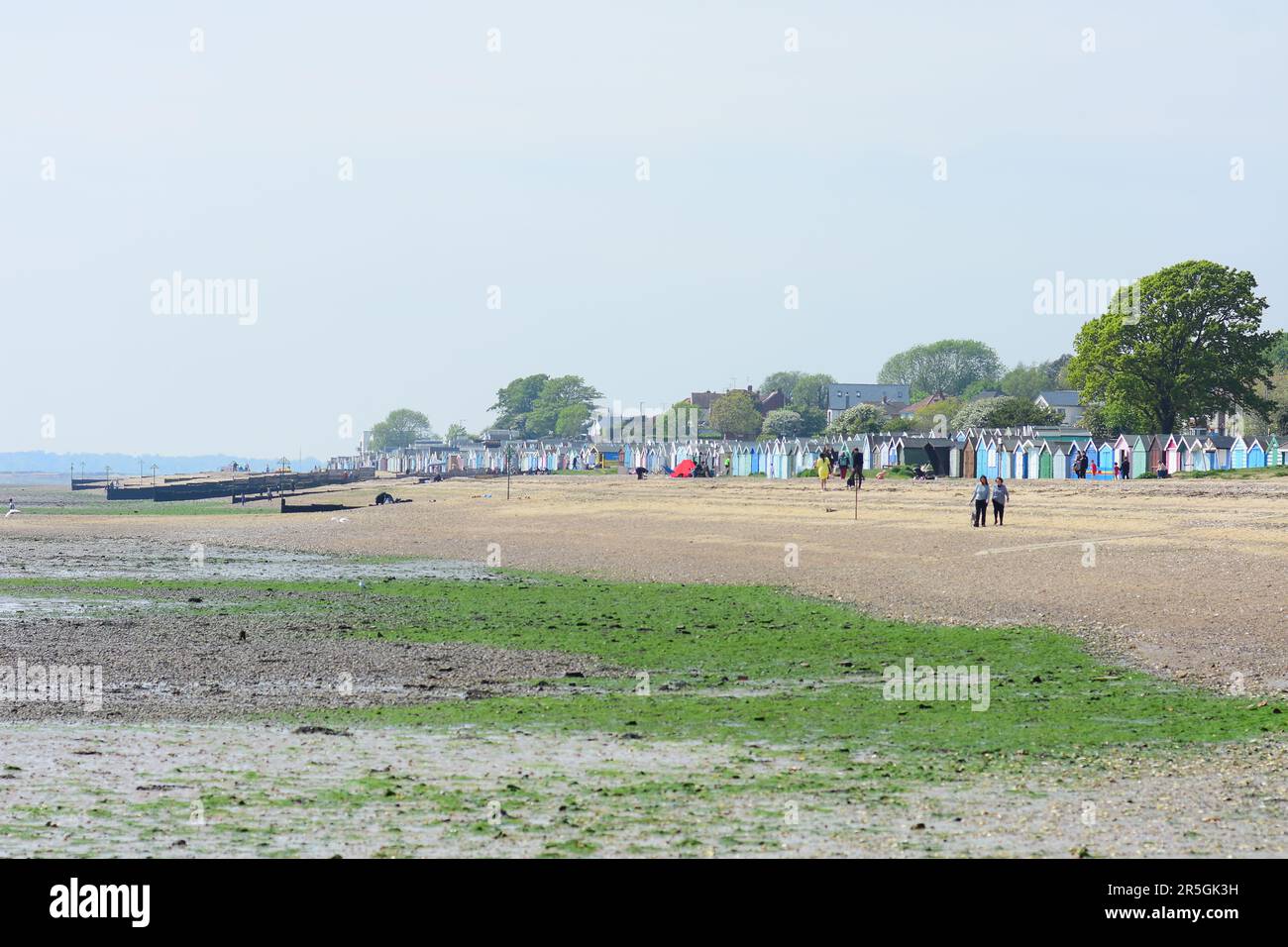 Sunday in Mersea Island. I took these photos in about 2 hours of ...