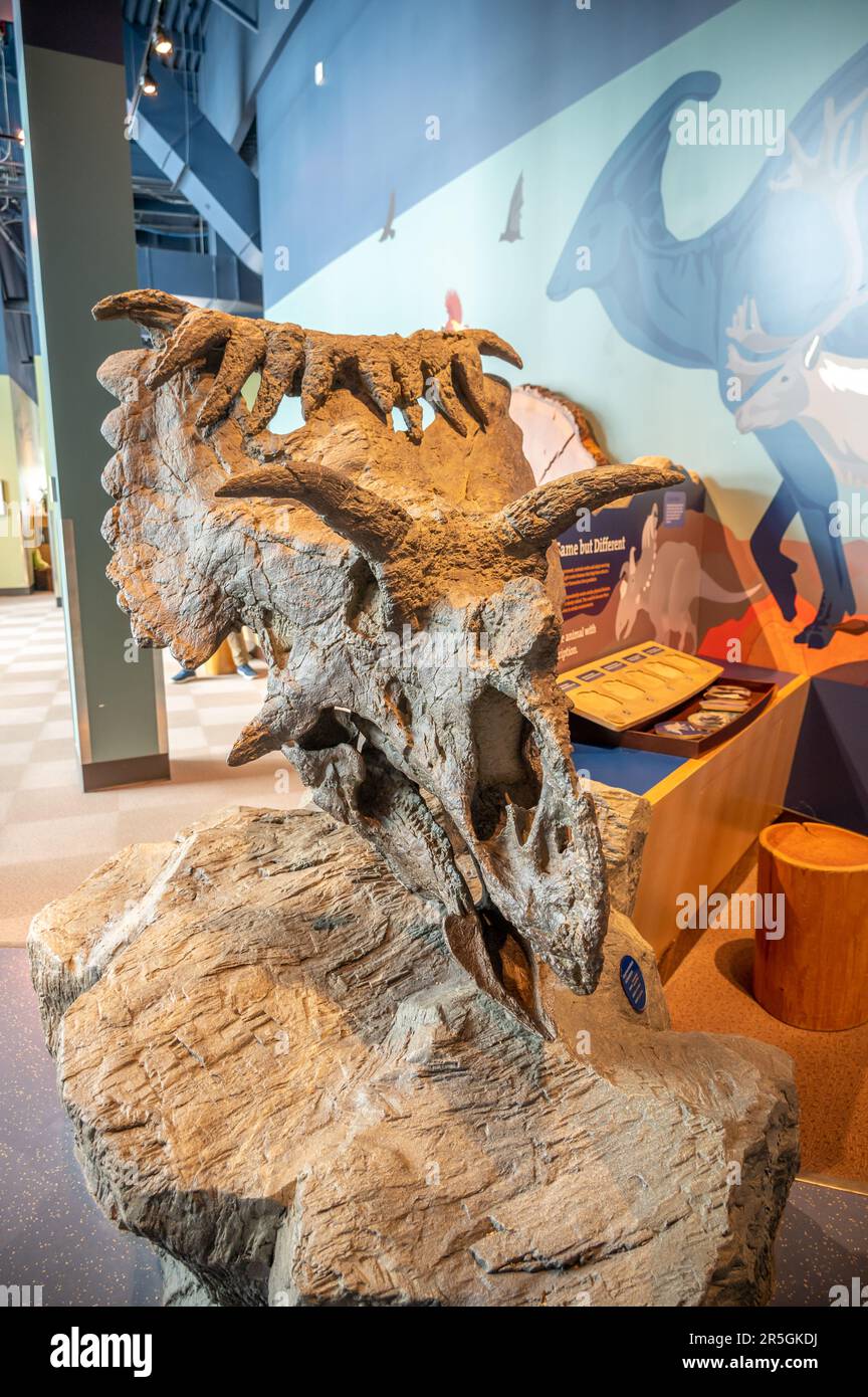 Vancouver, British Columbia - May 27, 2023: Views of the landmark ...