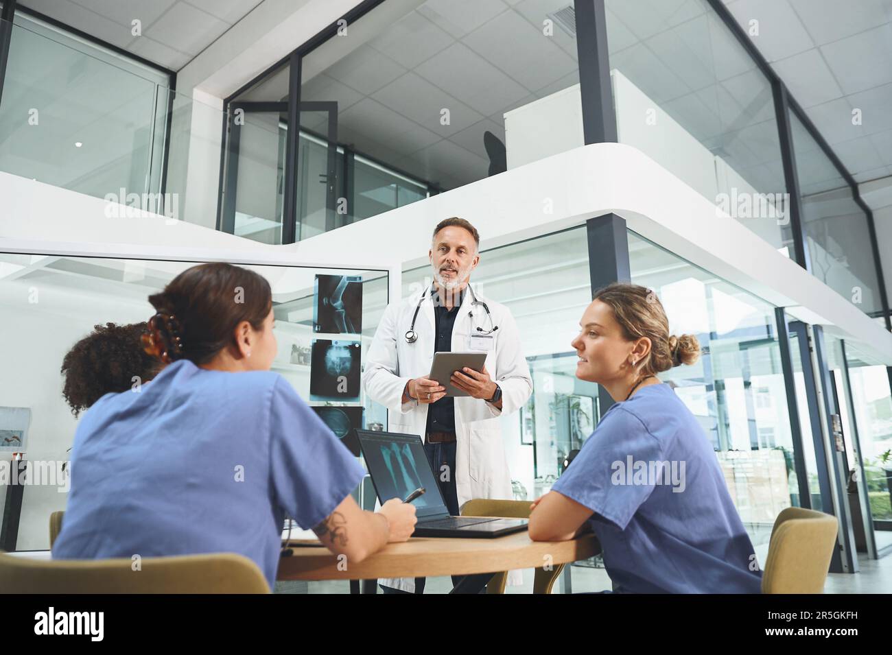 Assessing and planning treatment requirements. a mature doctor leading ...