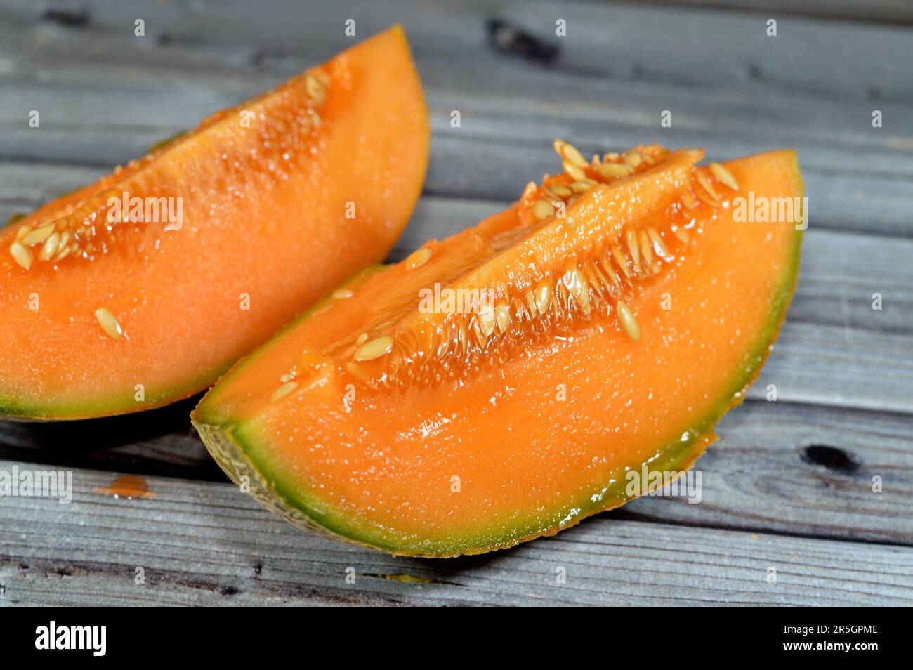 Muskmelon, Cucumis melo or melon, a species of Cucumis that has been ...