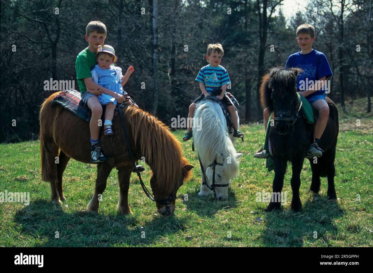 Children on ponies Stock Photo - Alamy