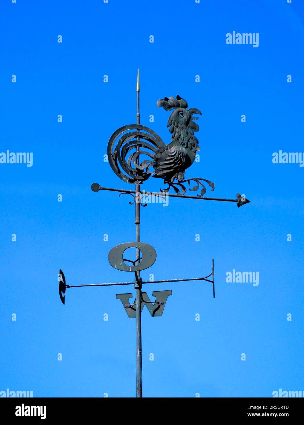 Cardinal like hi-res stock photography and images - Alamy