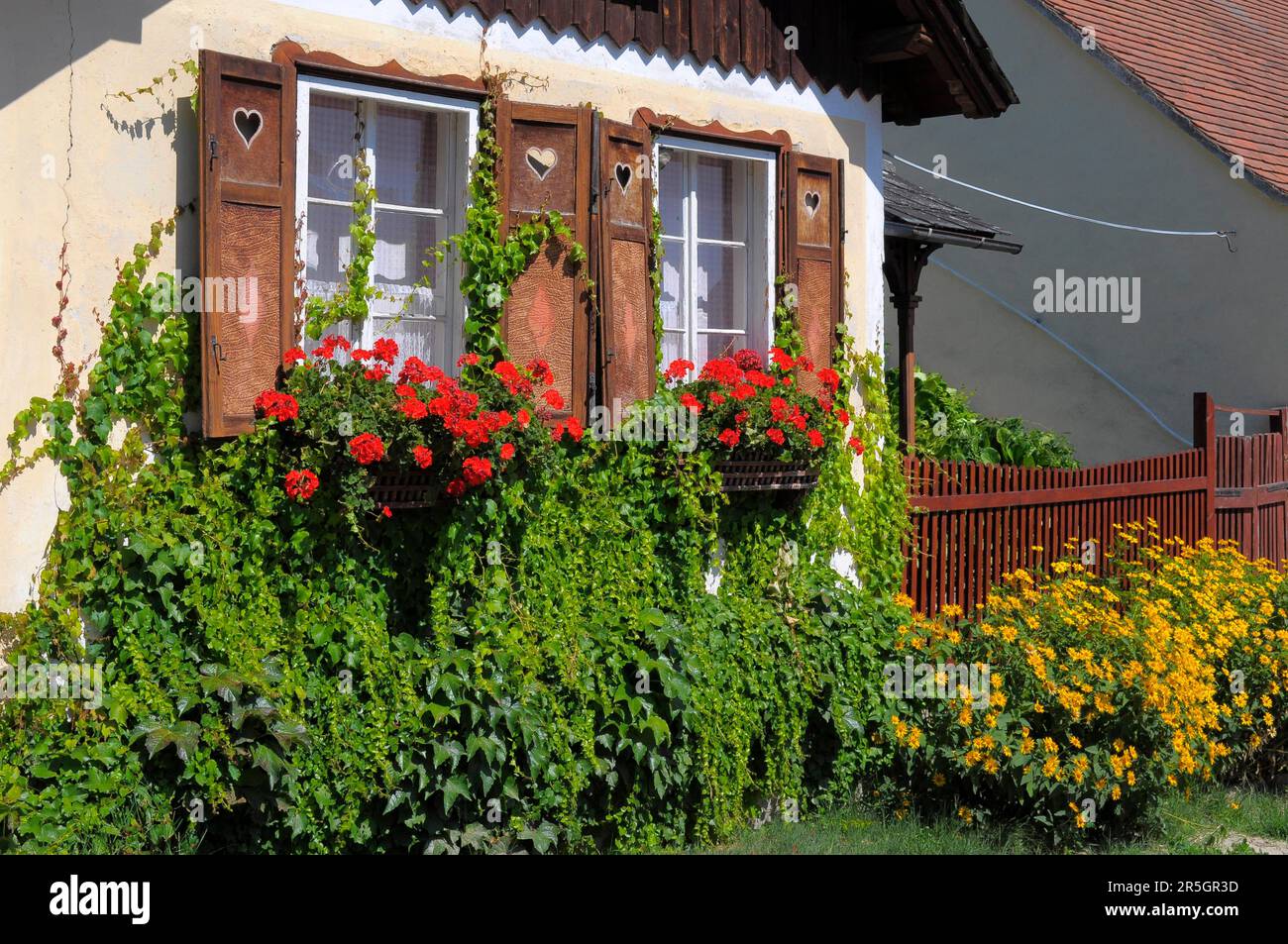 Austria, Wachau, Krems, country garden, perennial garden in bloom ...