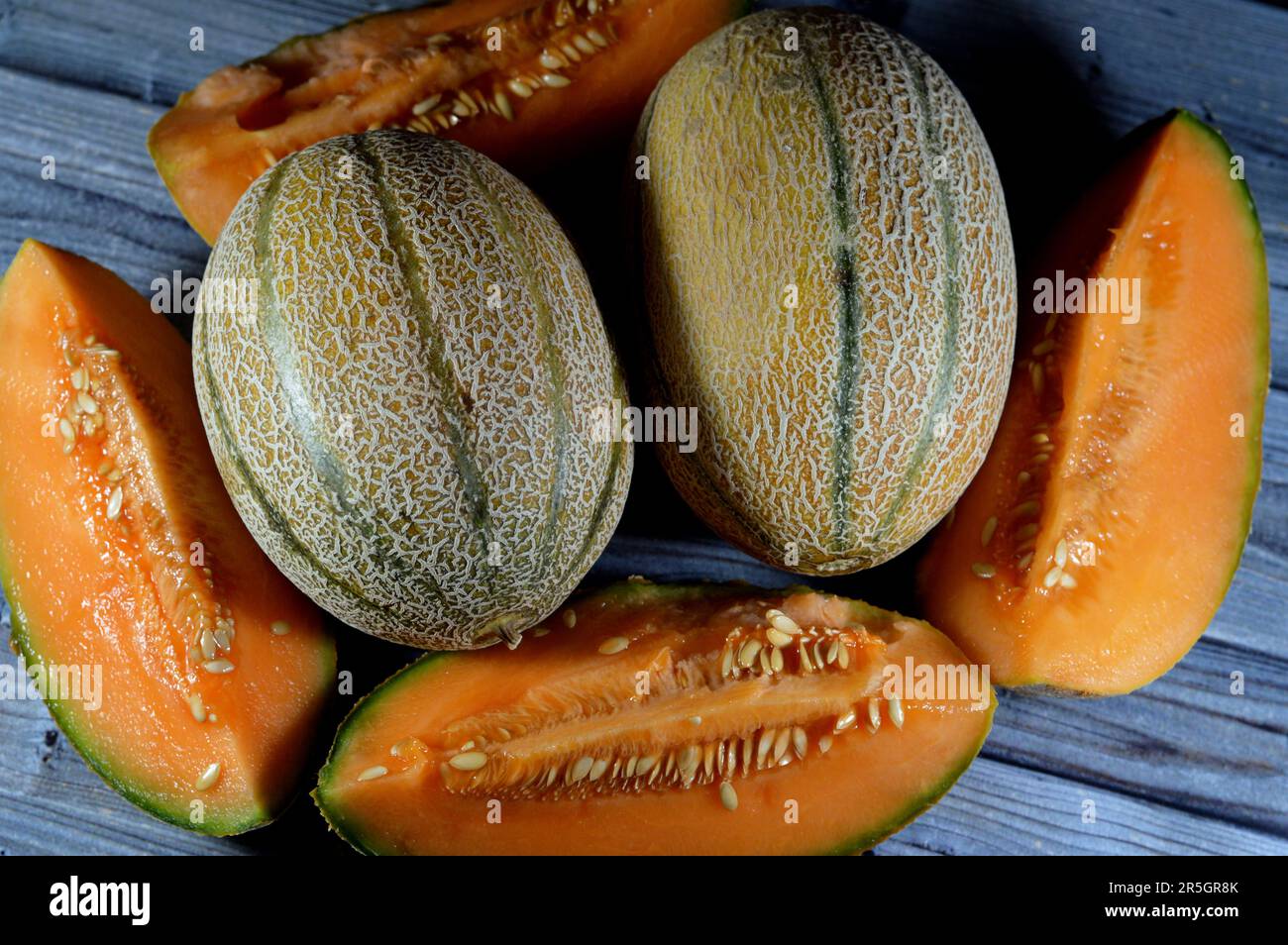 Muskmelon, Cucumis melo or melon, a species of Cucumis that has been ...