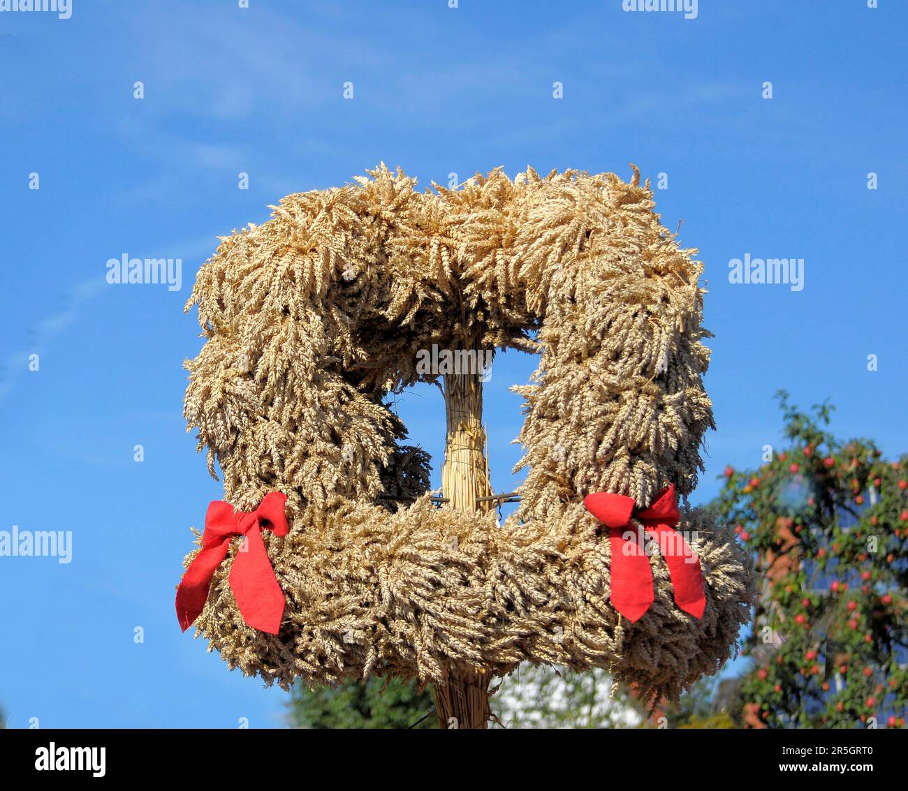 Wheat crown hi-res stock photography and images - Alamy