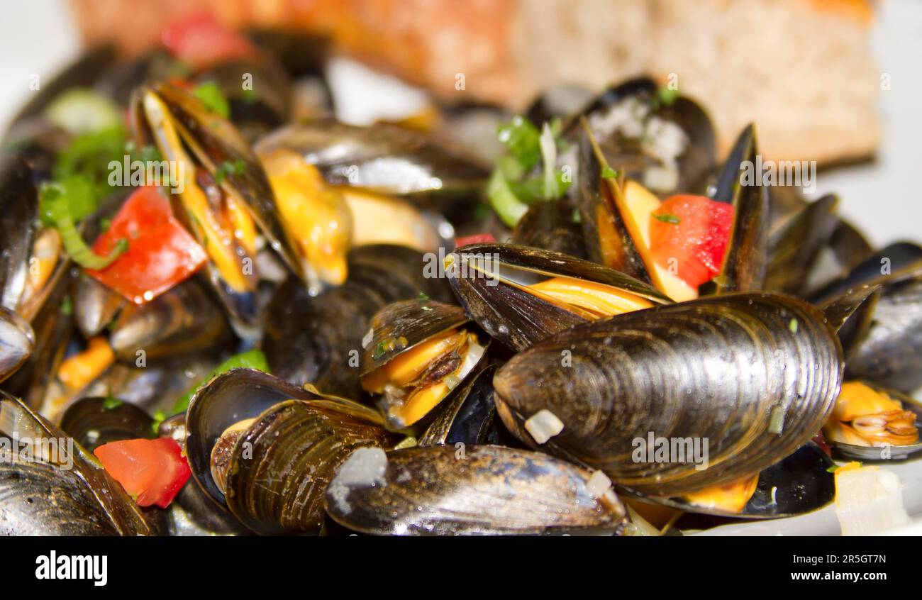 Cooked mussel meat hi-res stock photography and images - Alamy