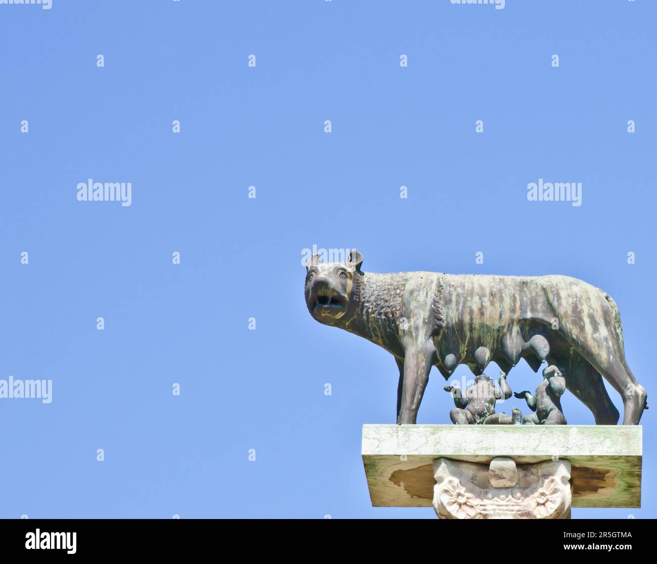 Romulus and Remus are Romes twin founders in its traditional foundation ...