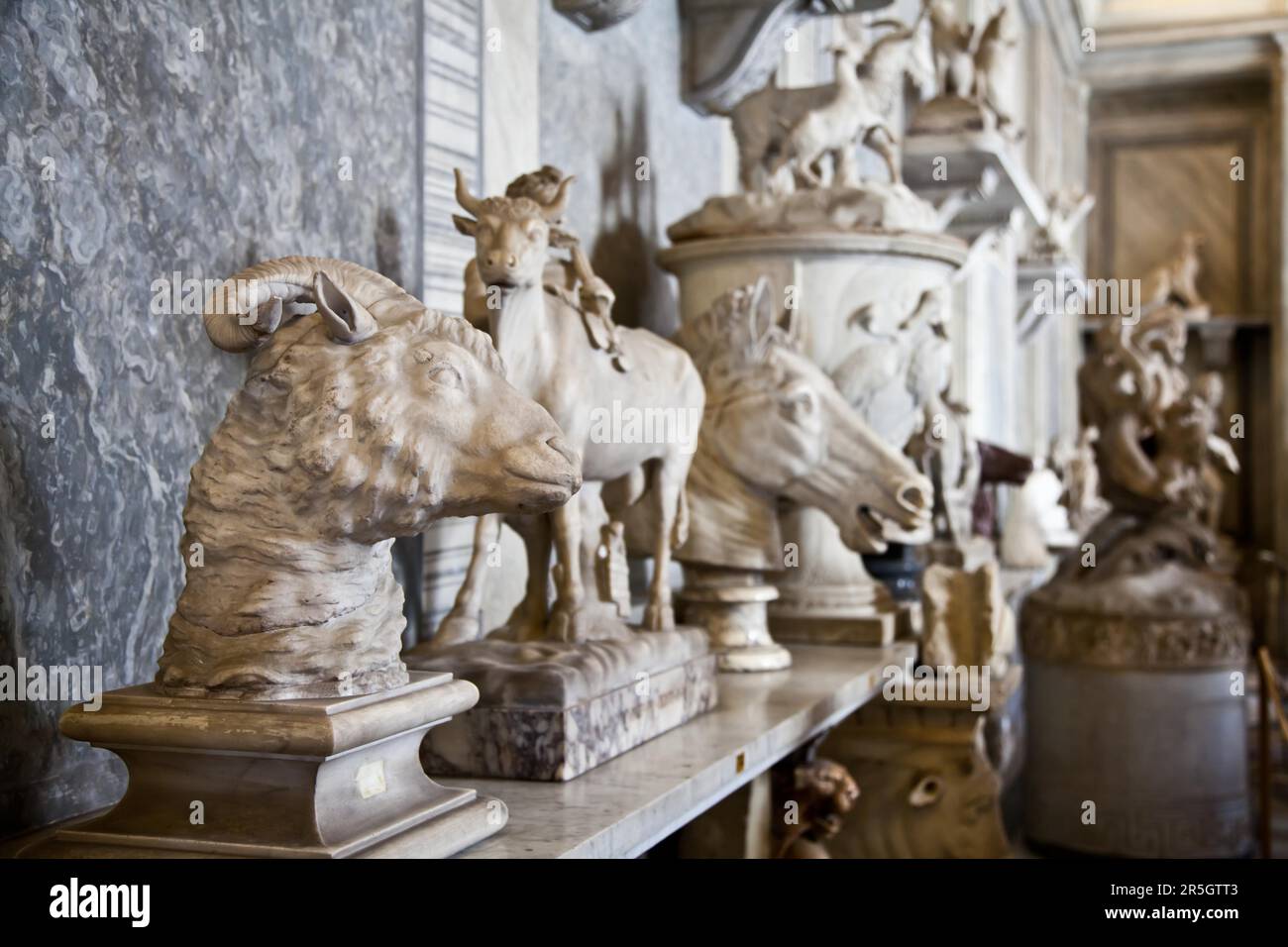 Vatican Museums, Rome, Italy: collection of statues Stock Photo - Alamy