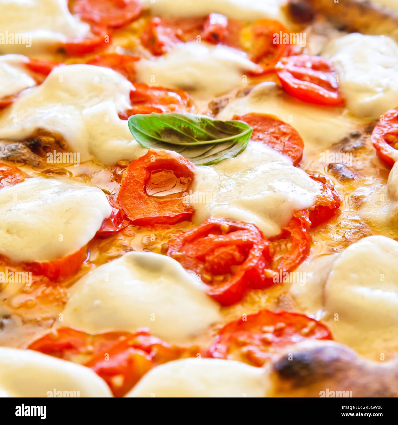 This is a true Italian Pizza. Traditional Pizza Margherita served in a ...