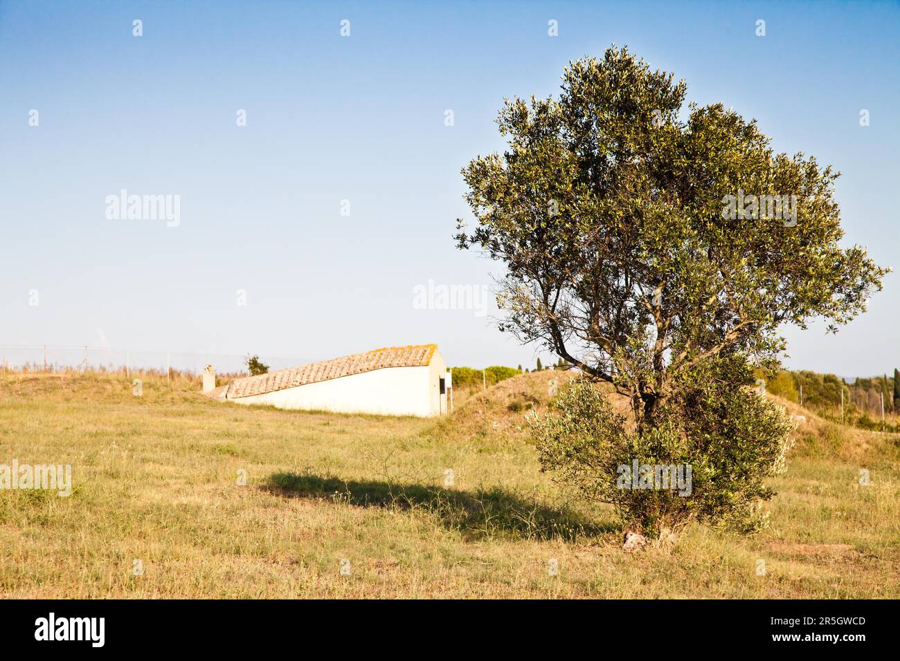 Tarquinia, Italy. This is the entrance of an Etruscan tomb (around 470 ...