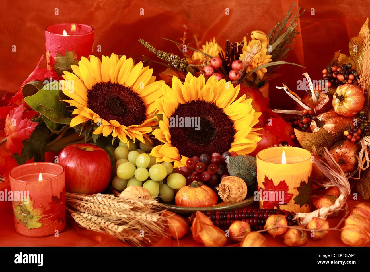 Still life and harvest or table decoration for Thanksgiving Stock Photo ...