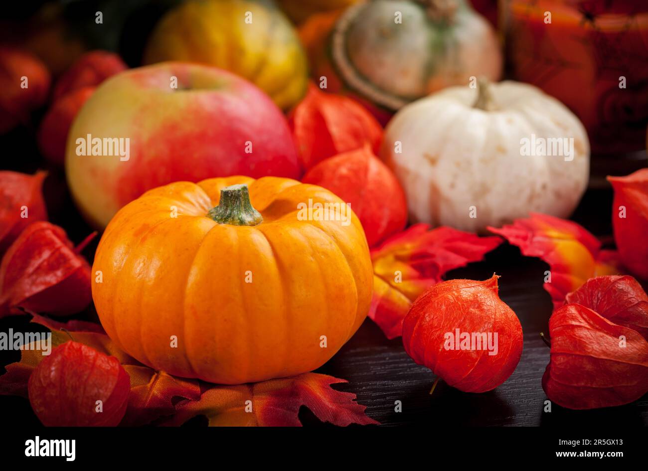Traditional pumpkins for Halloween in warm colors Stock Photo - Alamy