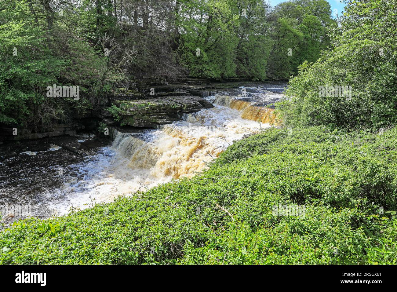 Lower Force, Aysgarth Falls on the River Ure in Wensleydale, North ...