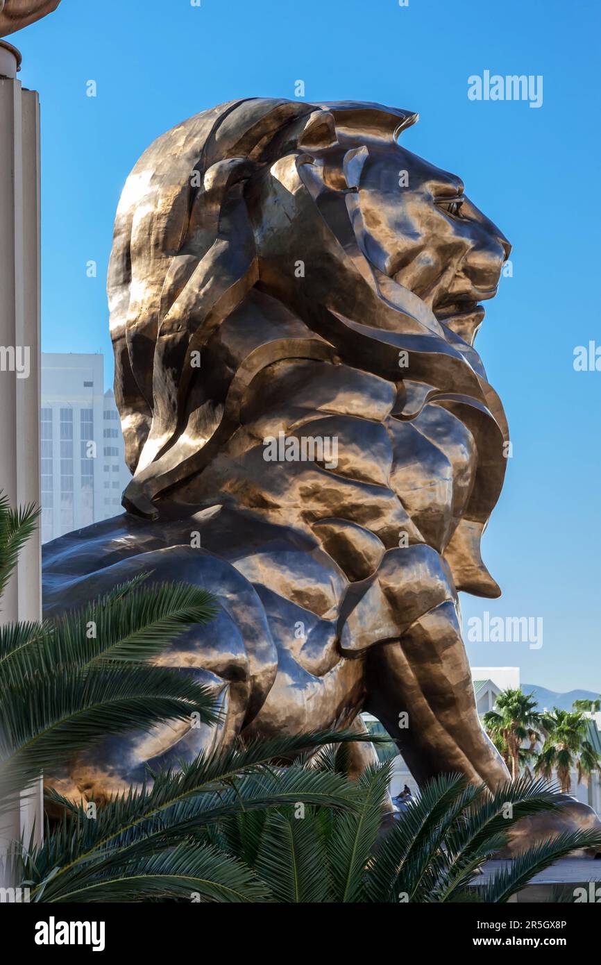 Modern lion artwork hi-res stock photography and images - Alamy