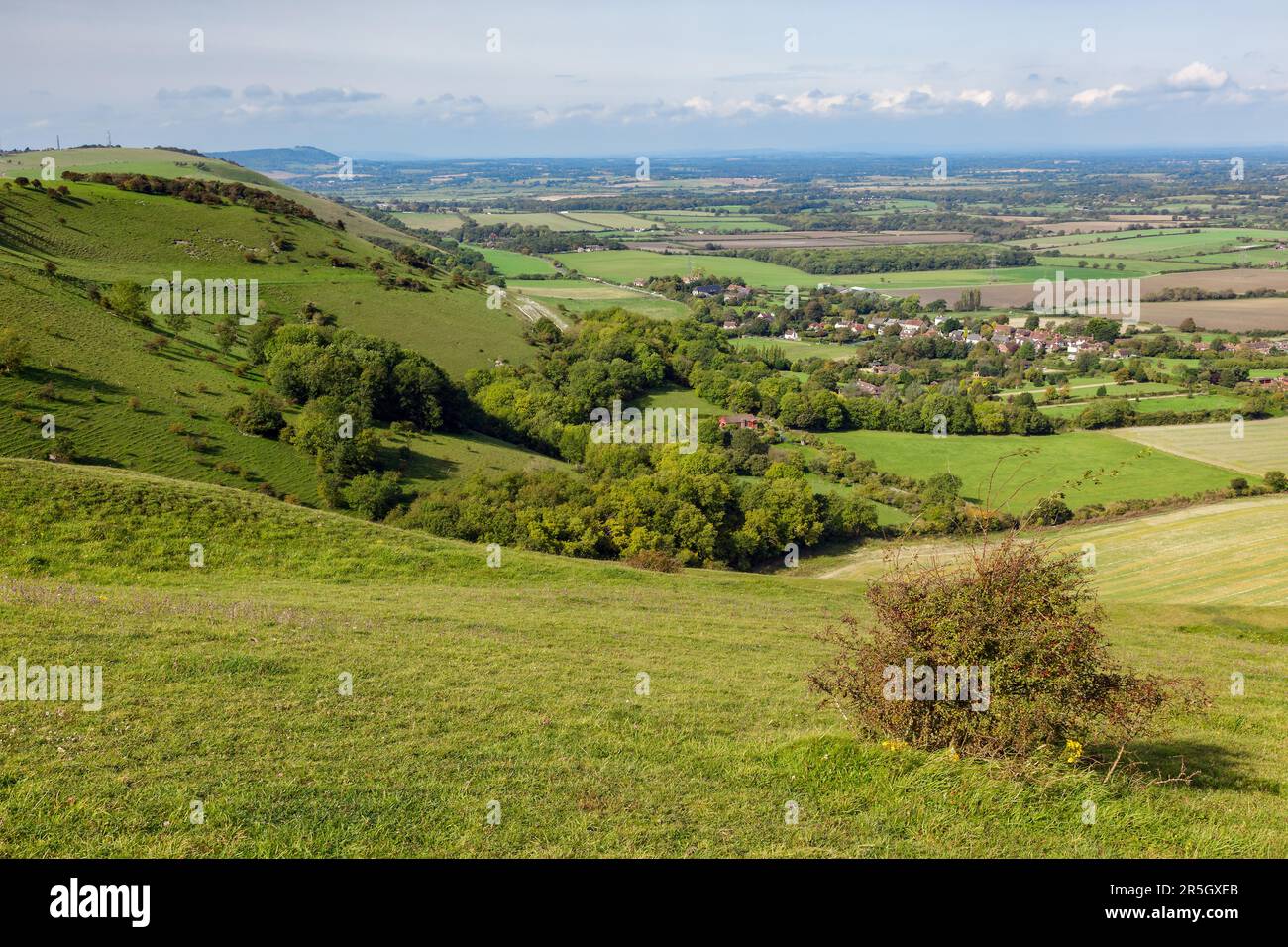 Green Undulating Hills of the Sussex Countryside Stock Photo - Alamy