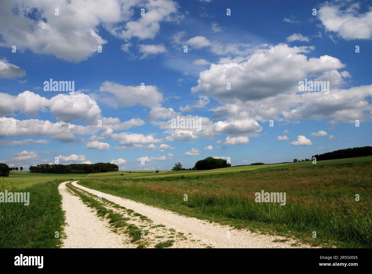 Lonely country path in Bavaria Stock Photo - Alamy