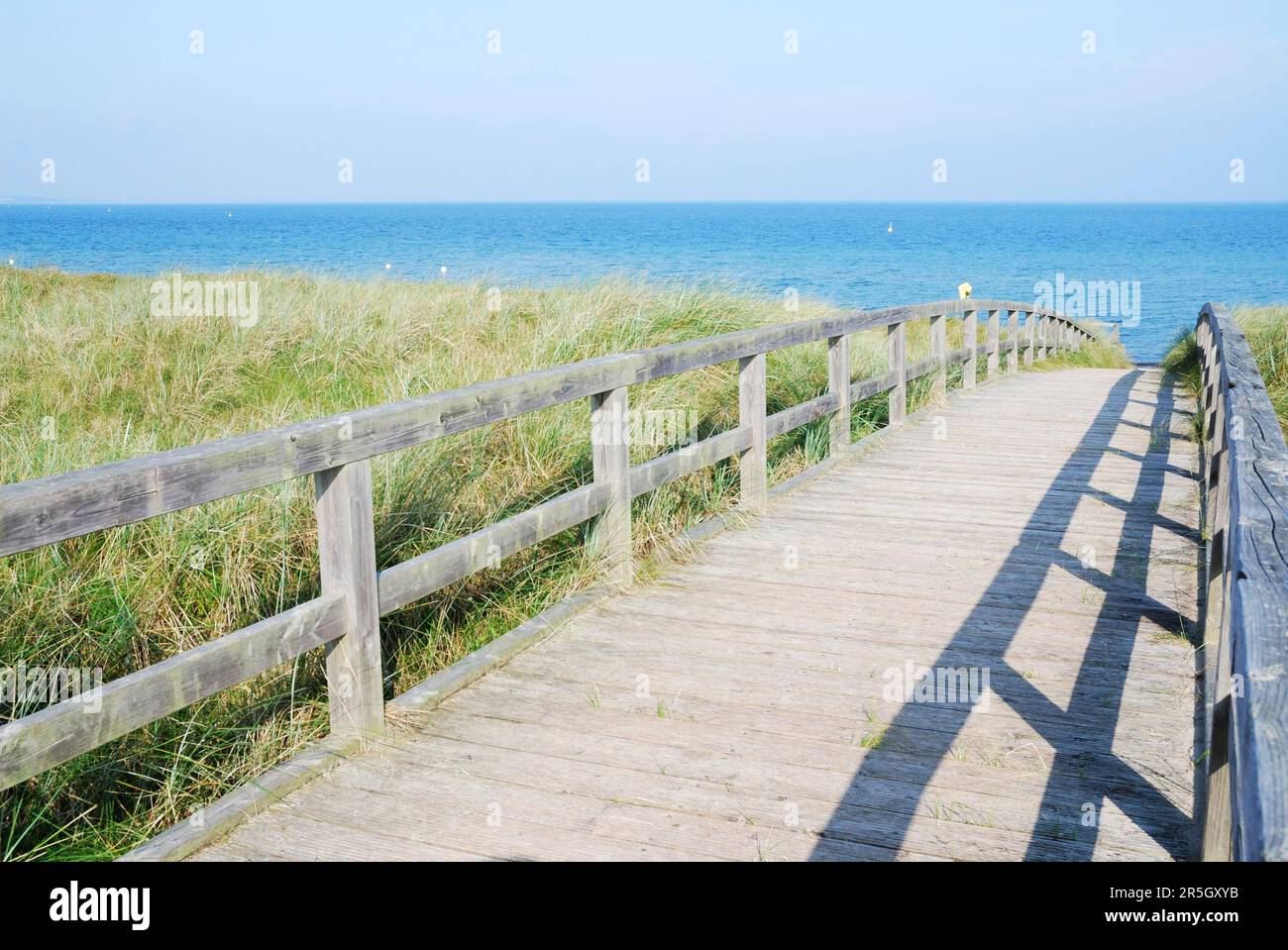 Bridge through the dunes of the Baltic Sea in Germany Stock Photo - Alamy
