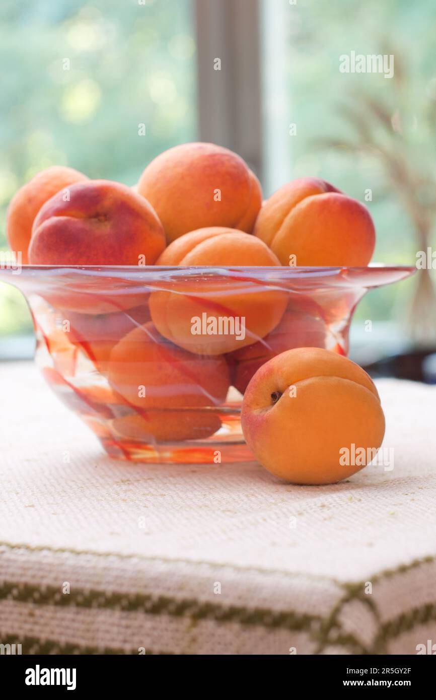 Detail fruit fresh apricots hi-res stock photography and images - Alamy