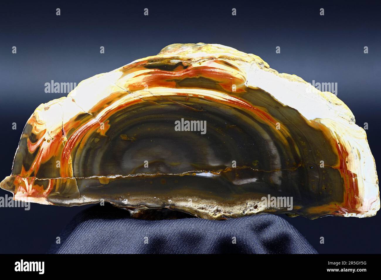 Patterned flint with colored streaks, polished cut of flint nodule ...