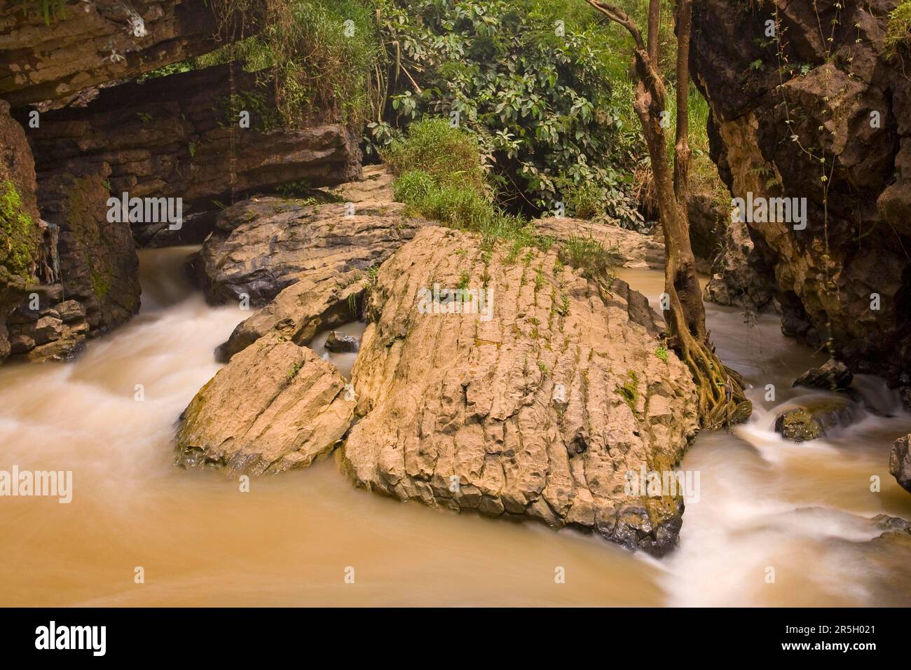 Elephant Waterfall, Dalat, Vietnam Stock Photo - Alamy