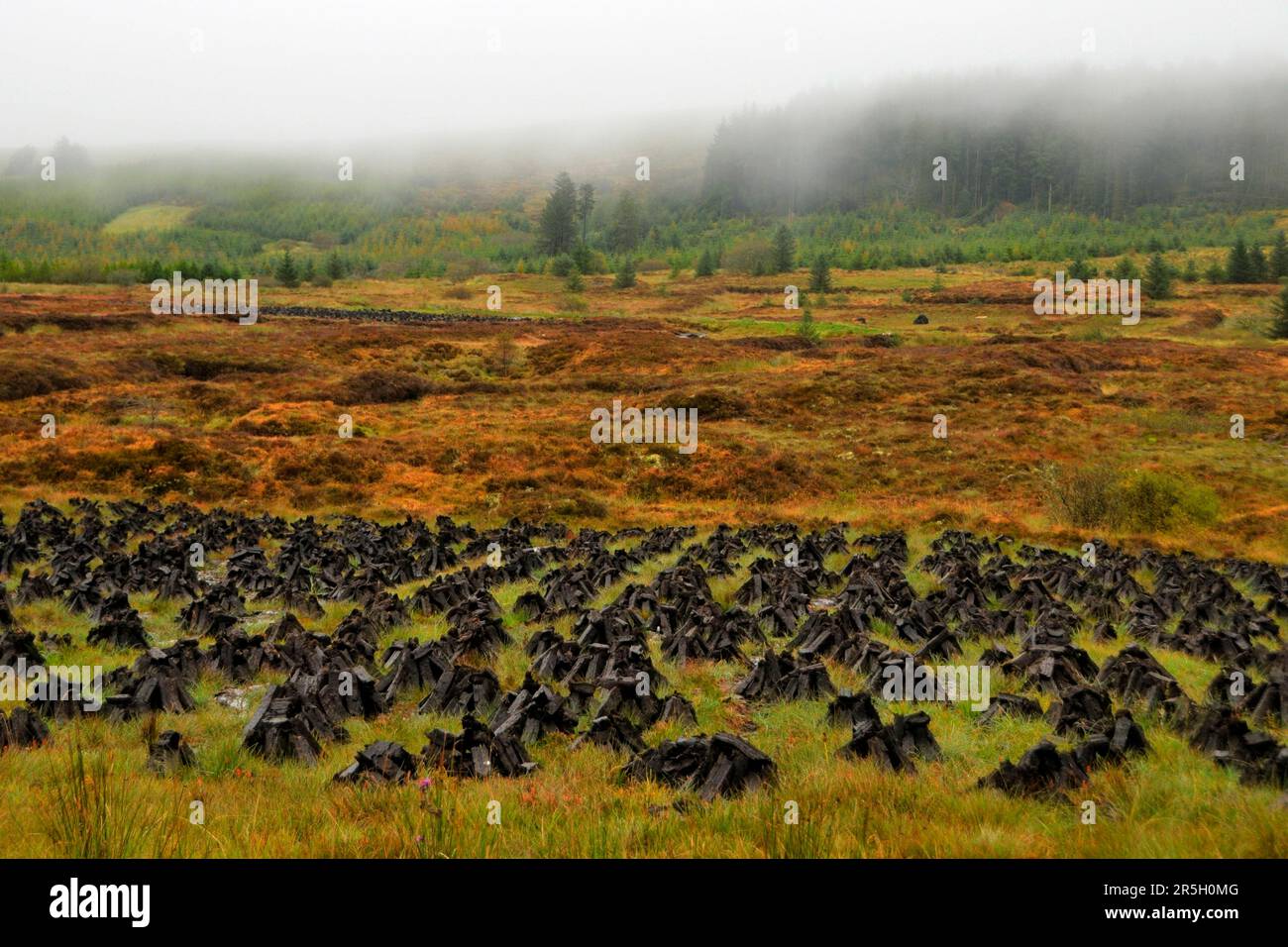 Stacked peat bales hi-res stock photography and images - Alamy