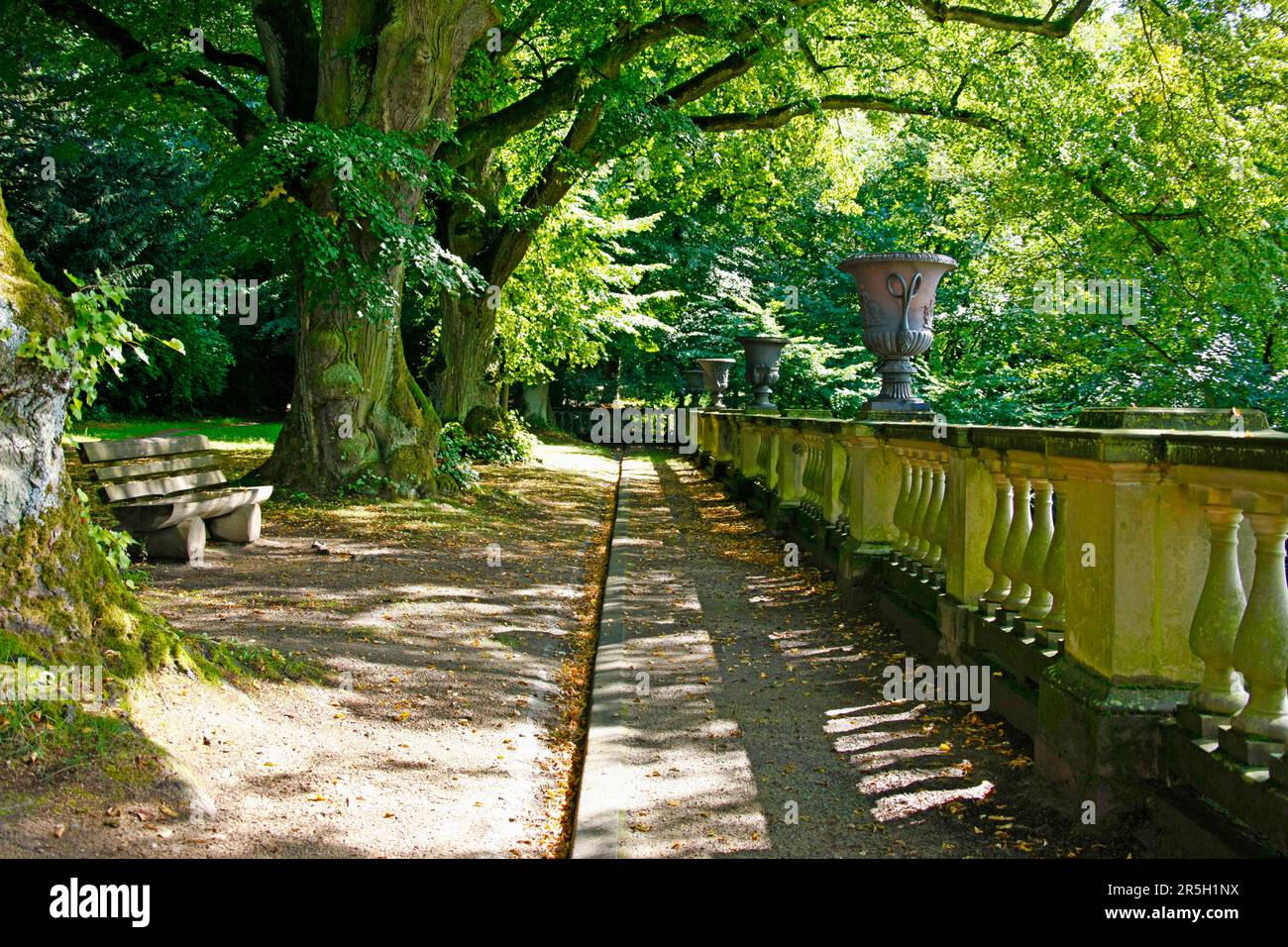 Heiligenberg Castle, old trees, Seeheim-Jugenheim, Hesse, Germany Stock ...