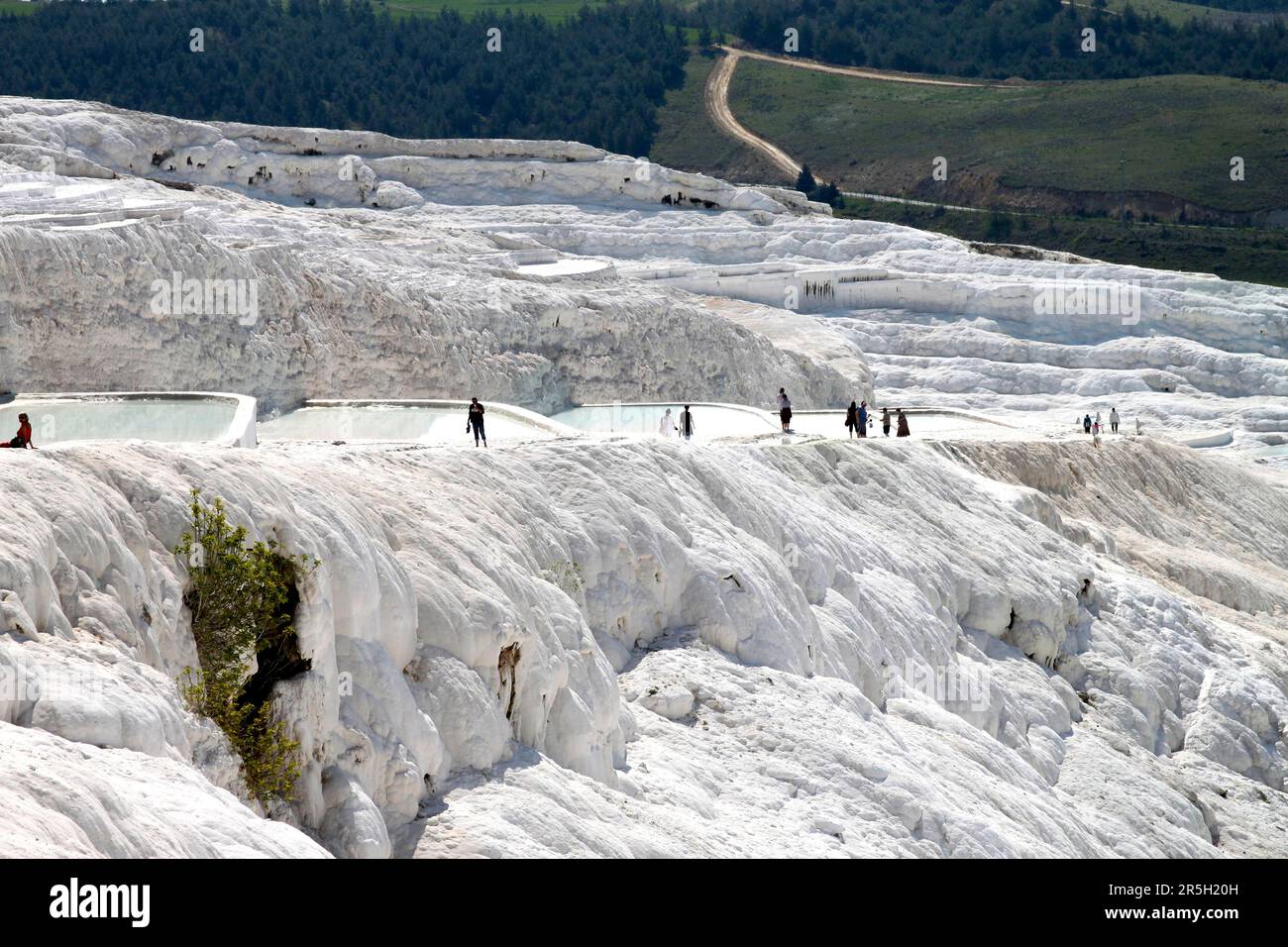 Travertine terraces, Pamukkale, Turkey Stock Photo - Alamy