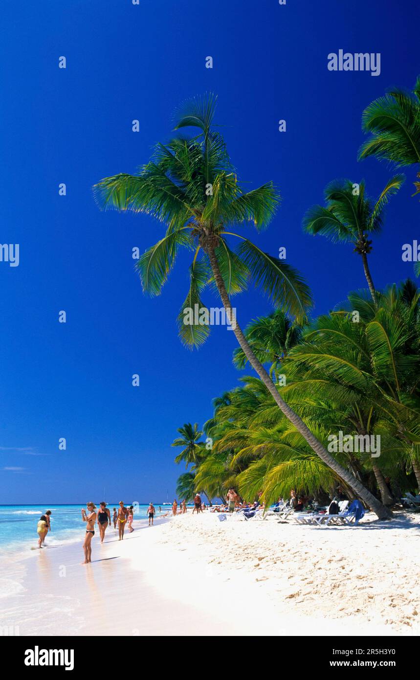 Beach in Playa Bavaro, Punta Cana, Dominican Republic, Caribbean Stock Photo - Alamy