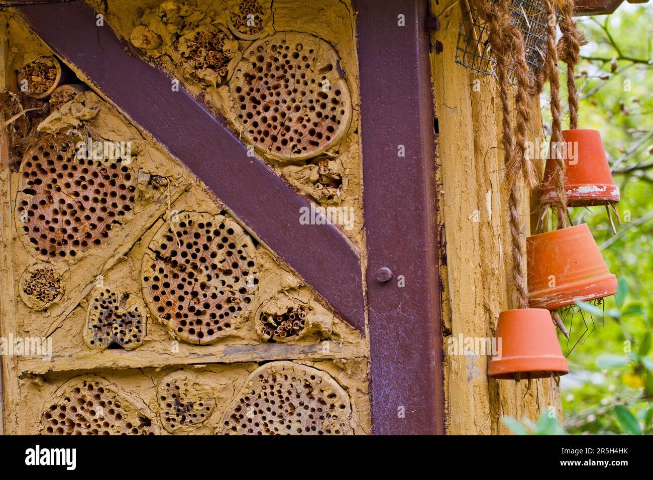 Nesting aids for wild bees and other insects, North Rhine-Westphalia ...
