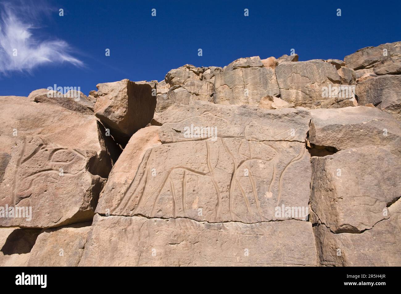 Stone Engravings, Wadi Mathendous, Wadi Barjuj, Stone Desert, Sahara ...