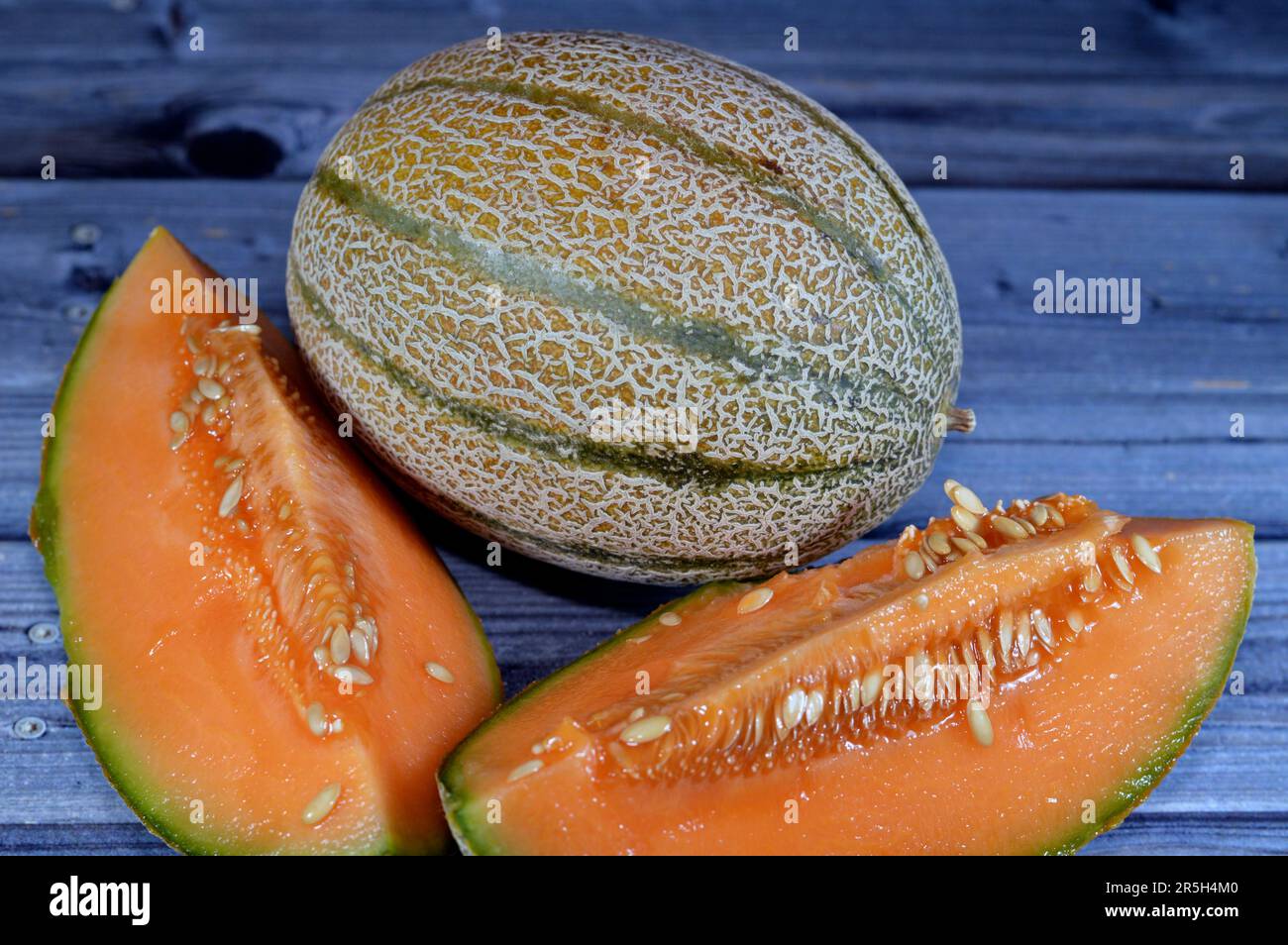 Muskmelon, Cucumis melo or melon, a species of Cucumis that has been ...