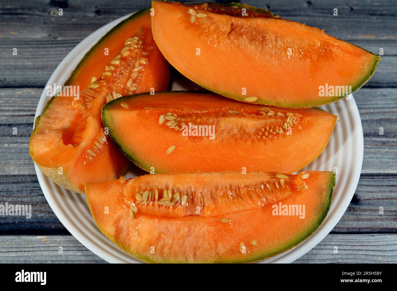 Muskmelon, Cucumis melo or melon, a species of Cucumis that has been ...