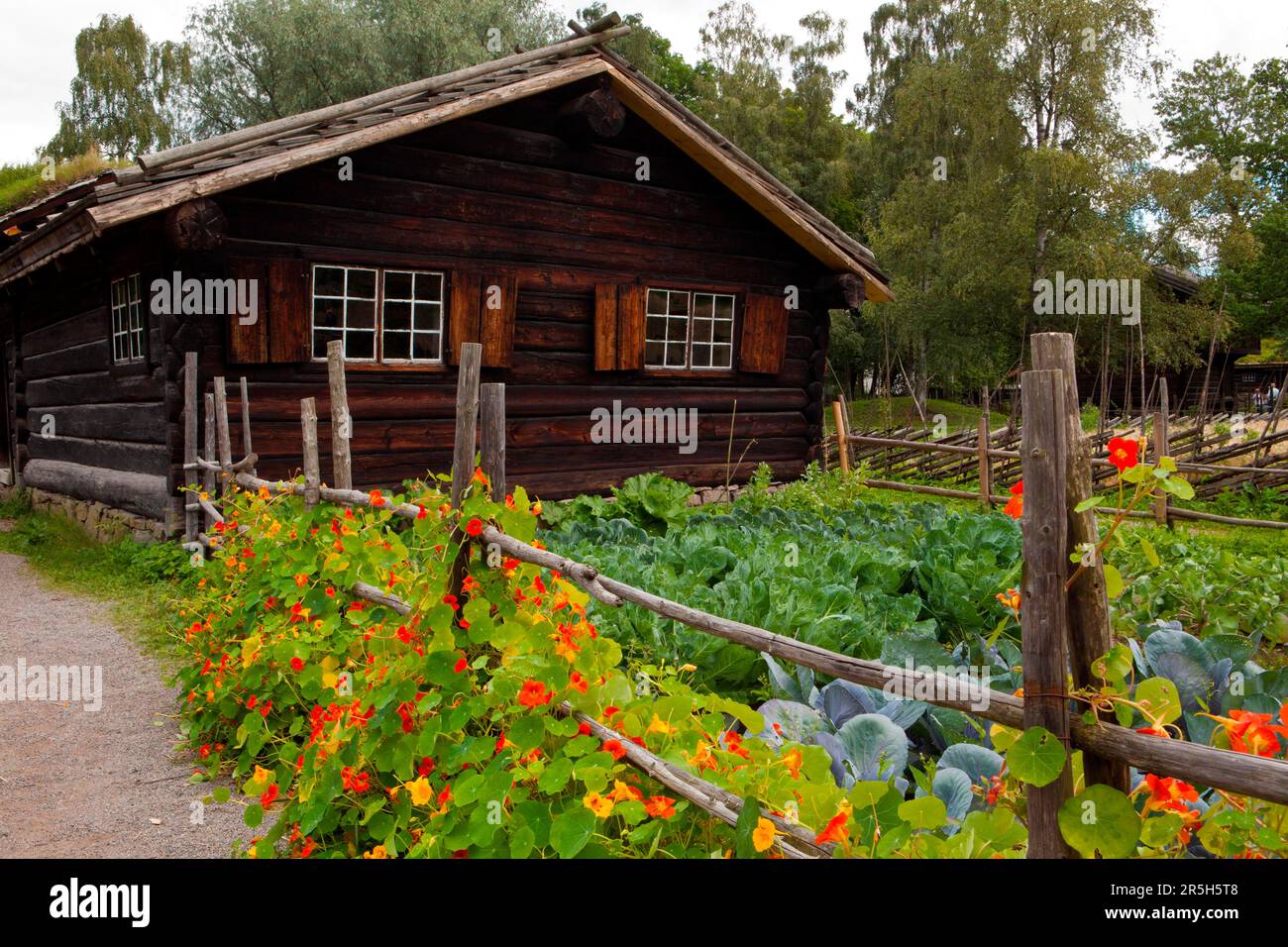 Farmhouse, Bygdoy, Oslo, green roof, wooden house, log house, Norway ...
